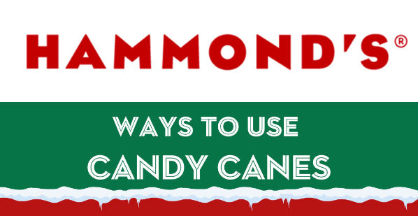 Creative Ways to Use a Hammond's Candy Cane! - Haversack Sales